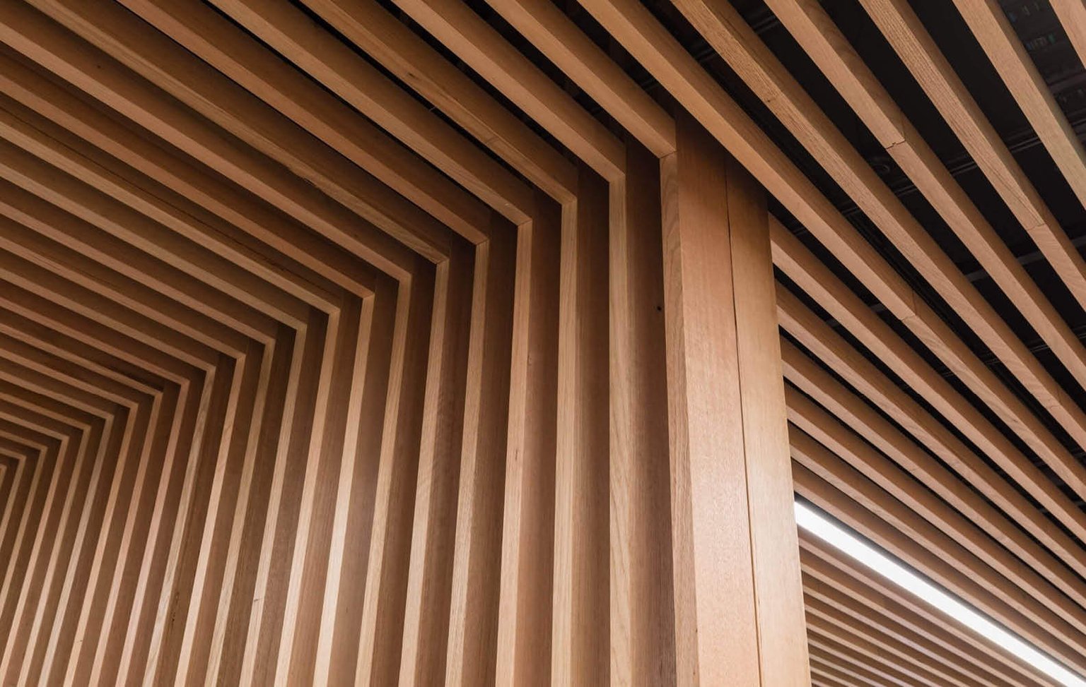 Timber Battens and Screens Enhance APL Office Design | Project | Sculptform