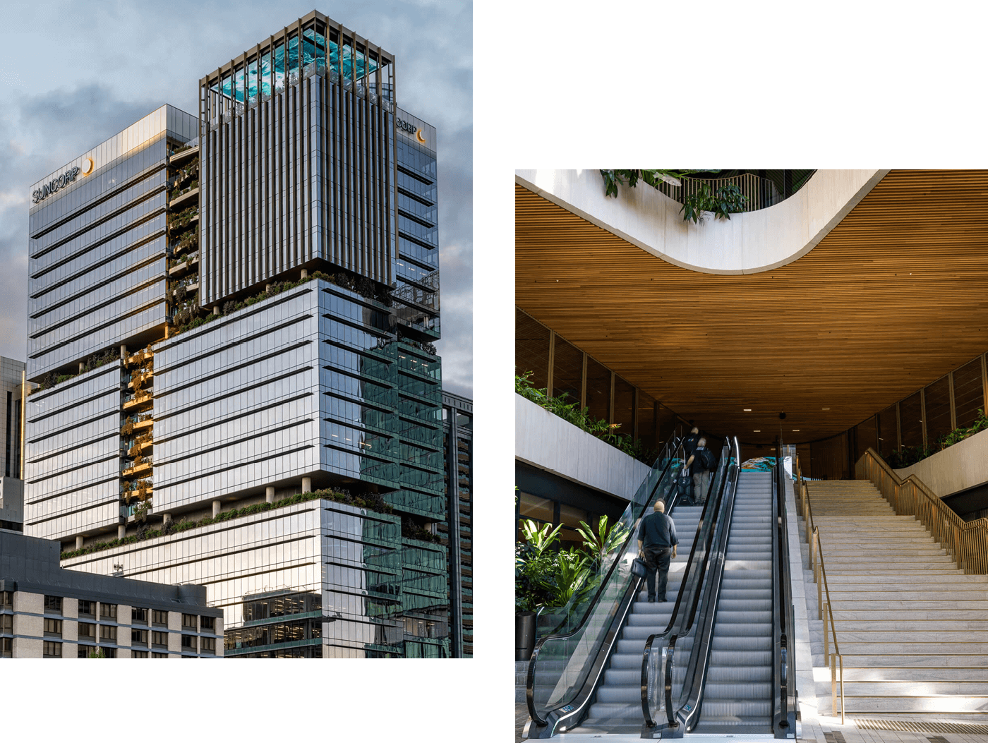 Heritage Lanes - 80 Ann Street | Project | Sculptform