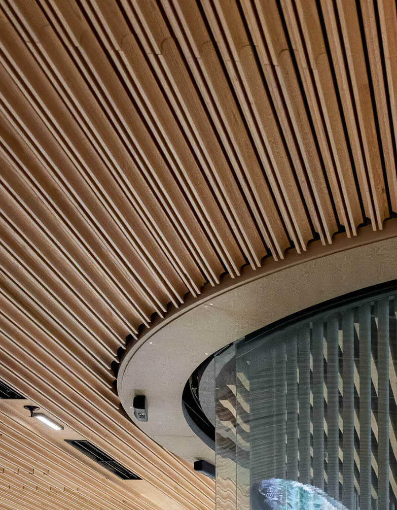 Heritage Lanes - 80 Ann Street | Project | Sculptform