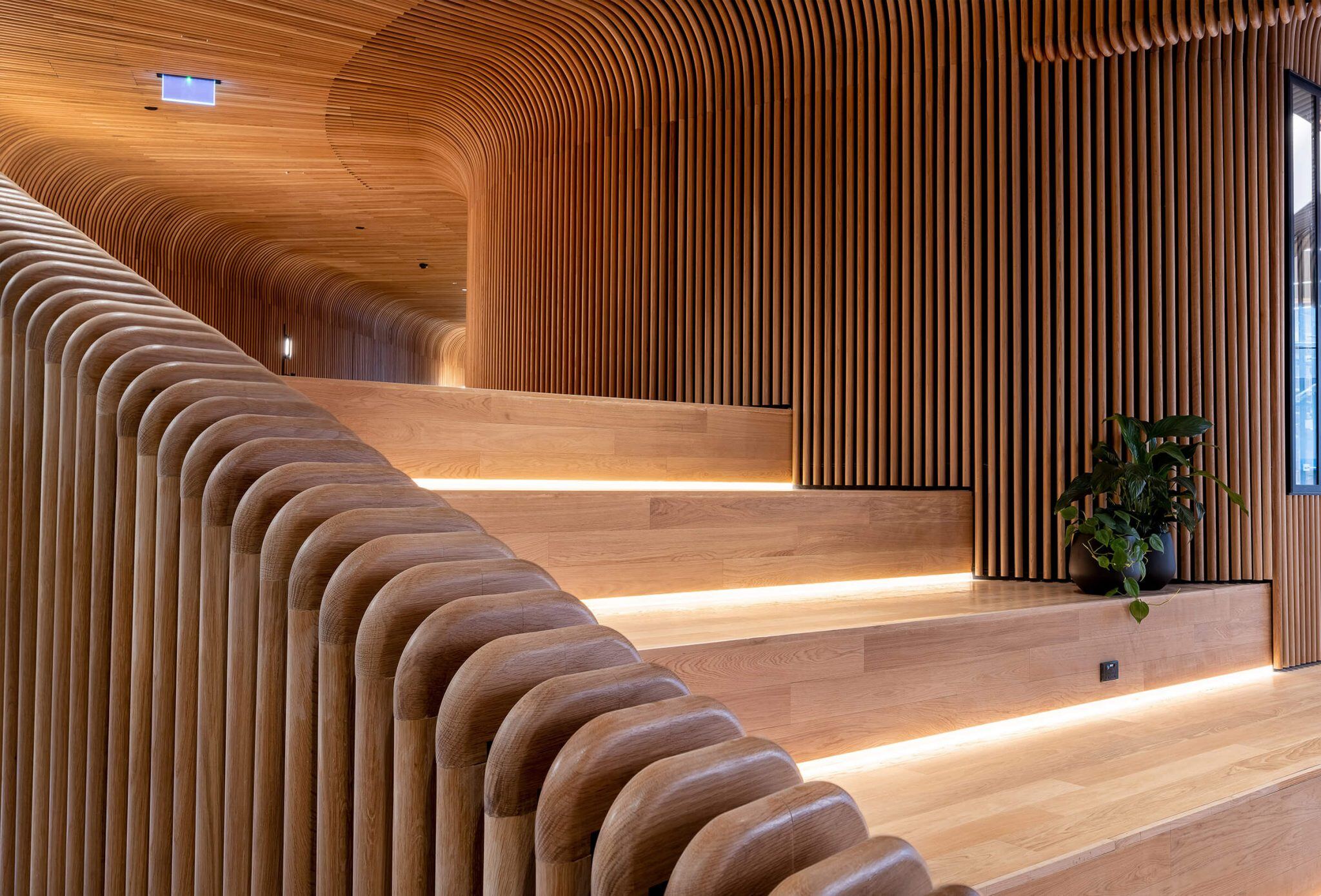 How Our Curved Timber Is Manufactured | Sculptform