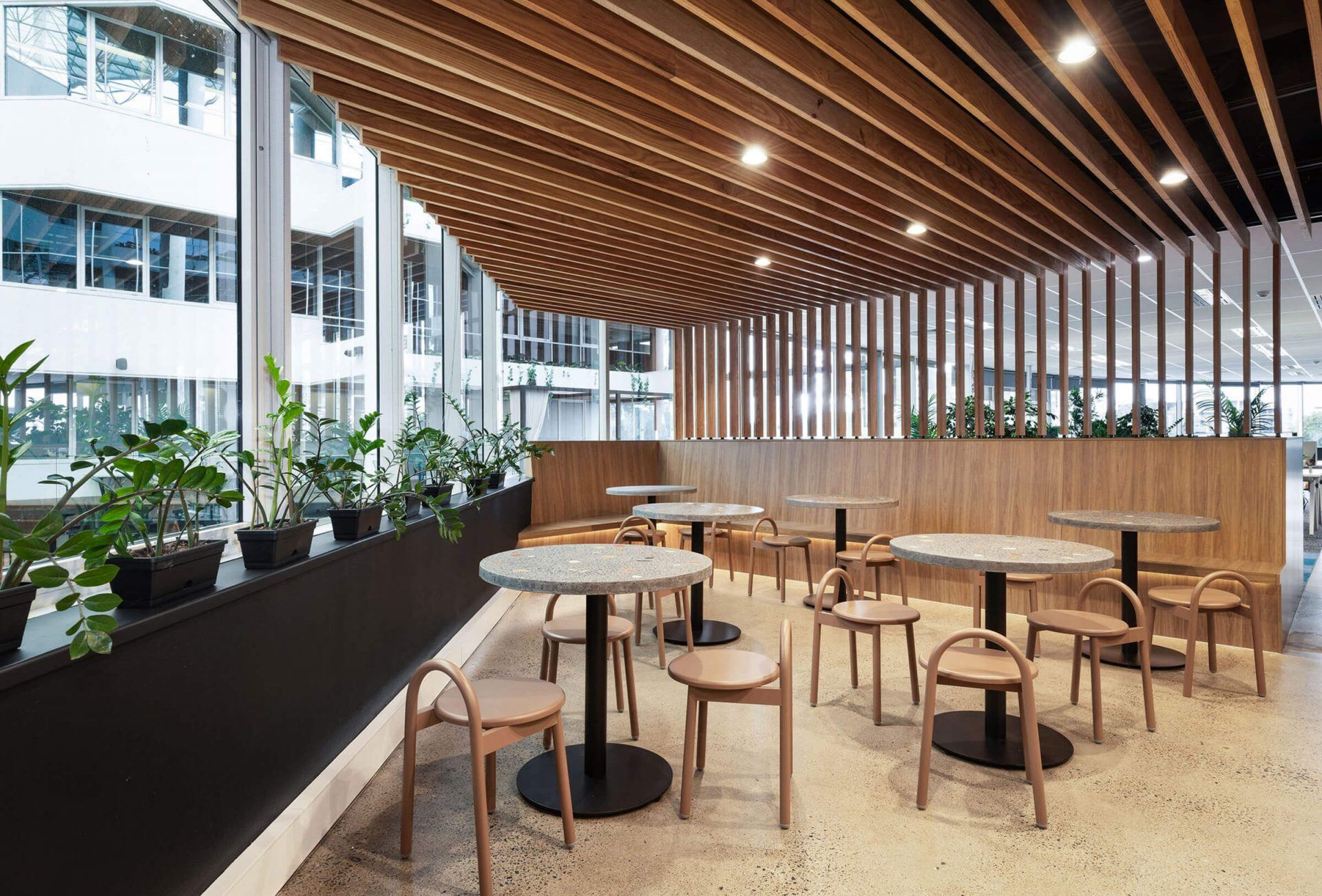 Your Comprehensive Guide To Timber Coatings | Sculptform