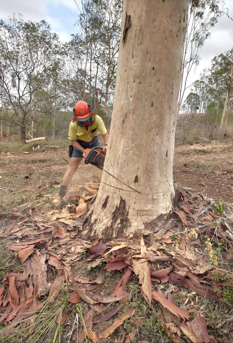 What Is Sustainably Sourced Timber | Sculptform