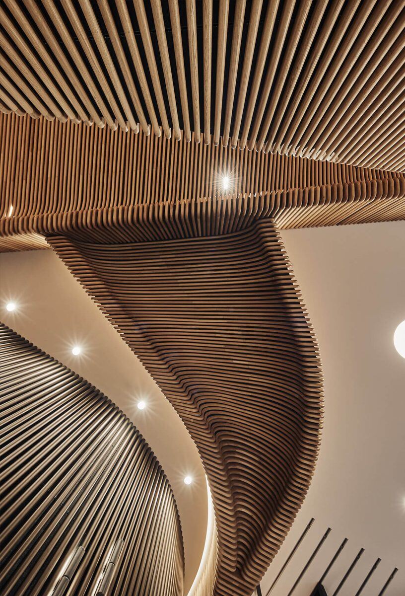 How Our Curved Timber Is Manufactured | Sculptform