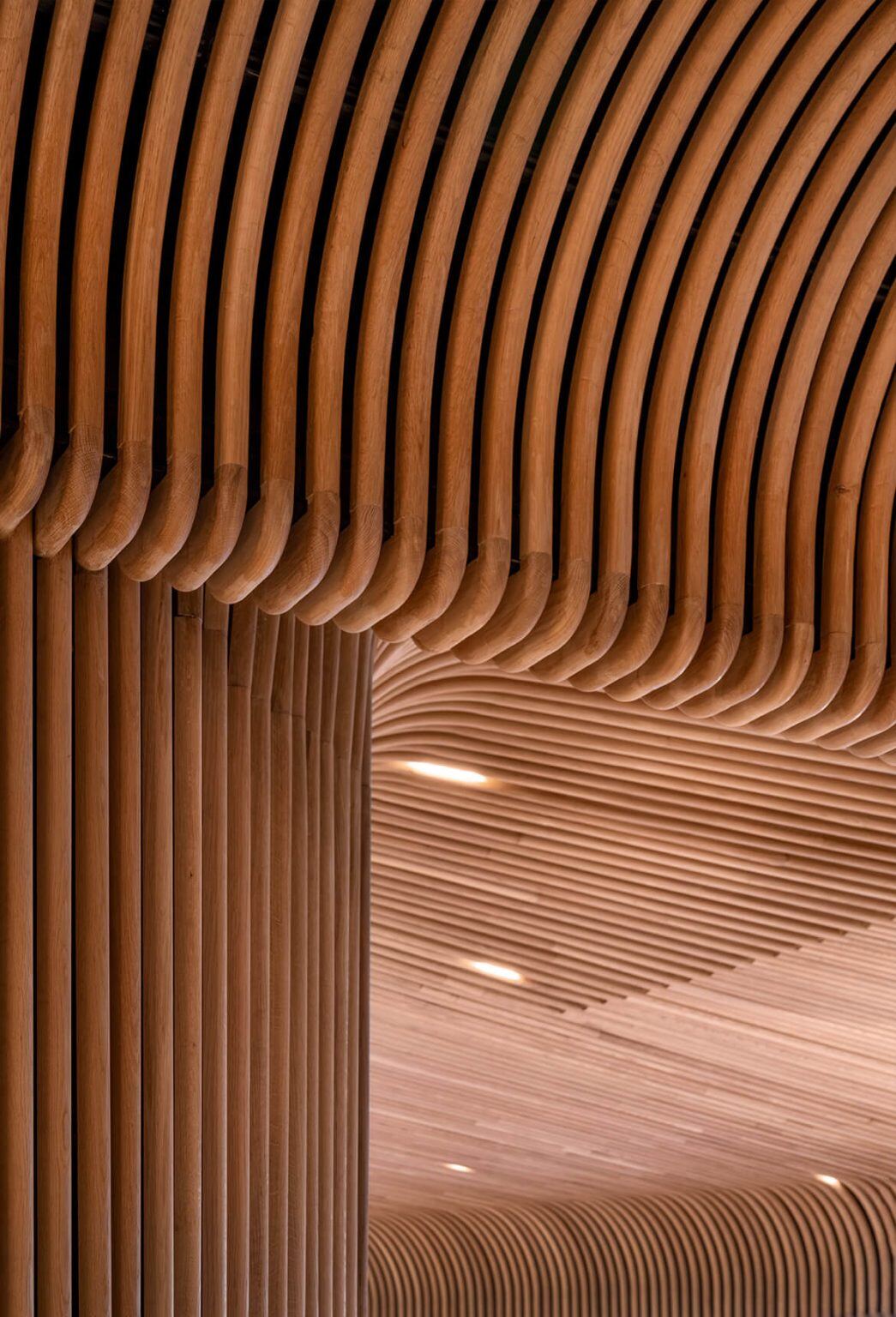 How Our Curved Timber Is Manufactured | Sculptform