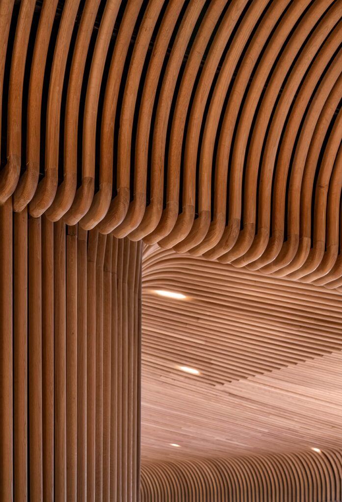 How Our Curved Timber Is Manufactured | Sculptform