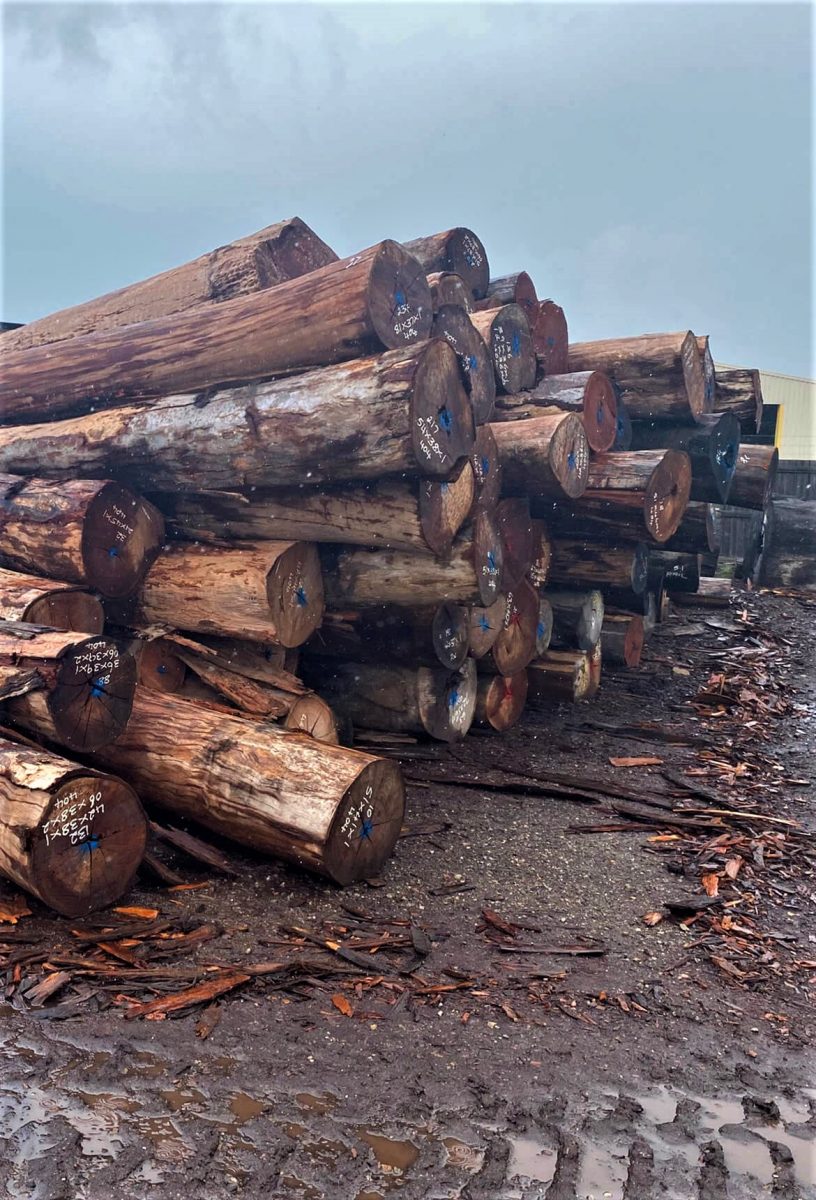 What Is Sustainably Sourced Timber | Sculptform