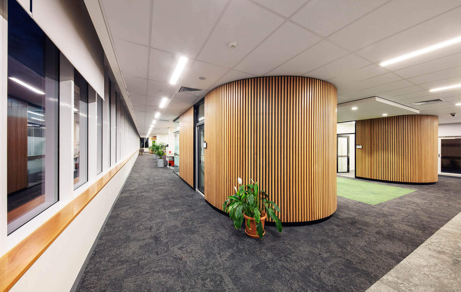 Australian Catholic University | Project | Sculptform