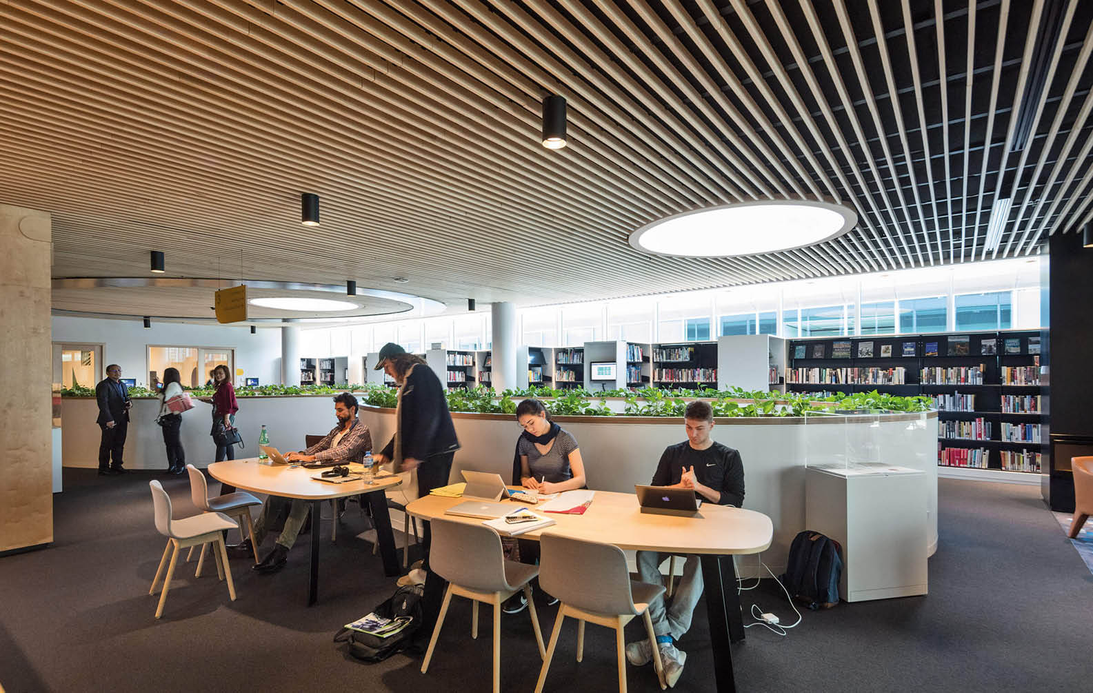 Double Bay Library | Project | Sculptform