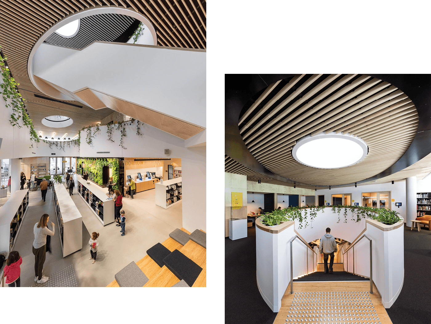 Double Bay Library | Project | Sculptform