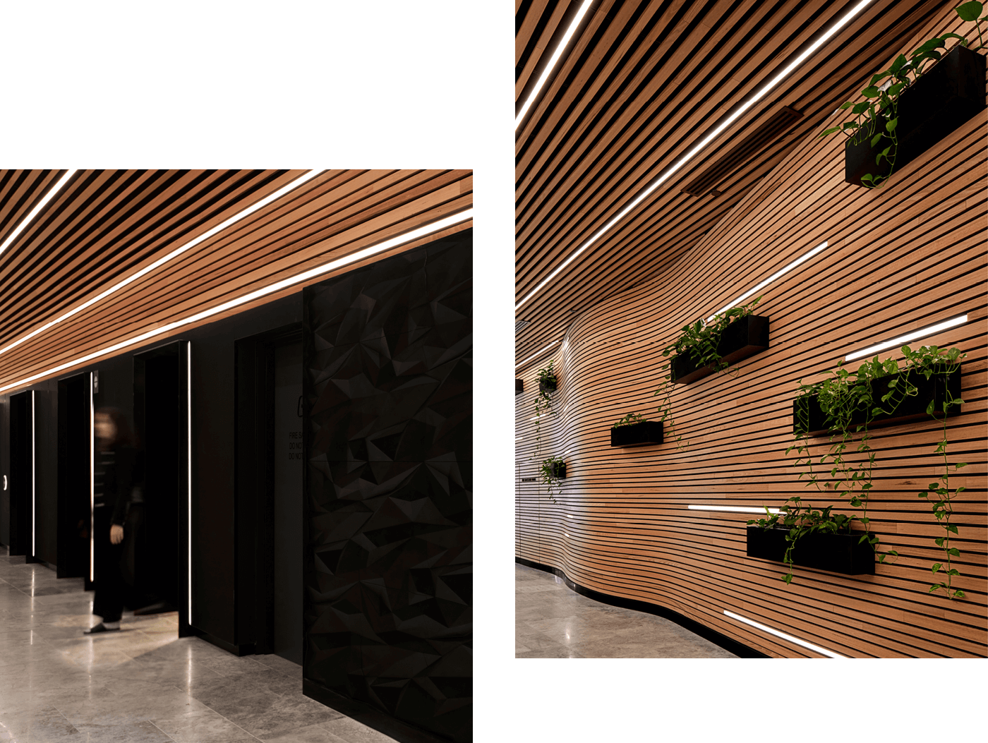Eagle House | Project | Sculptform
