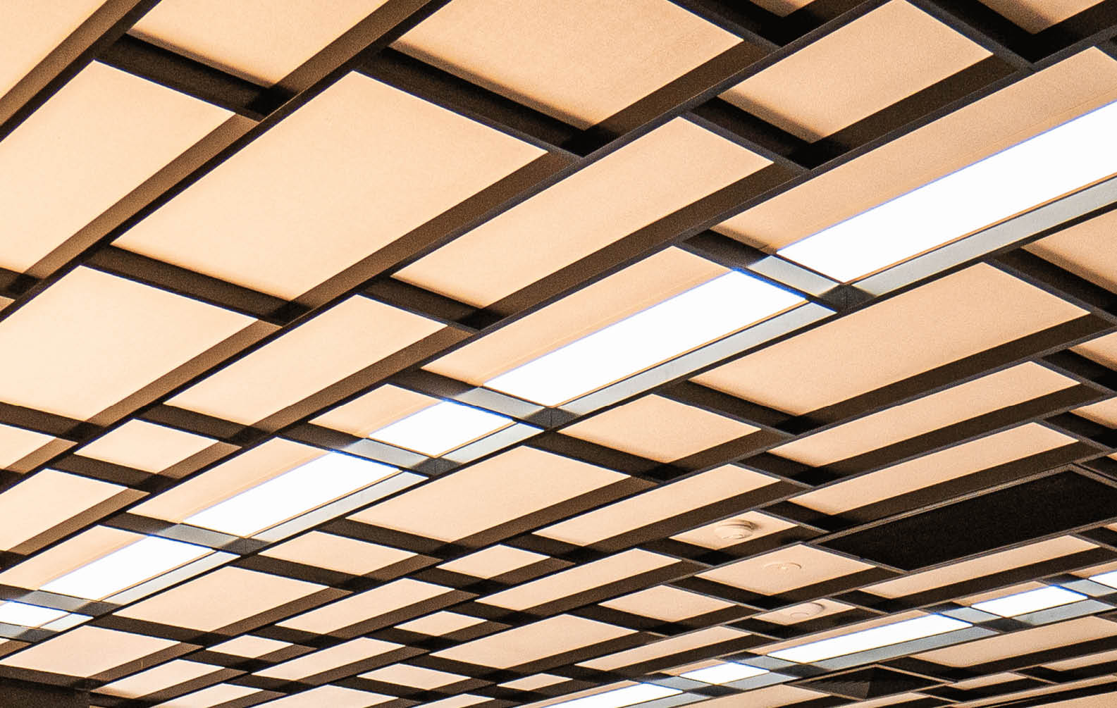 Custom Ceiling of Grocery Store | Project | Sculptform