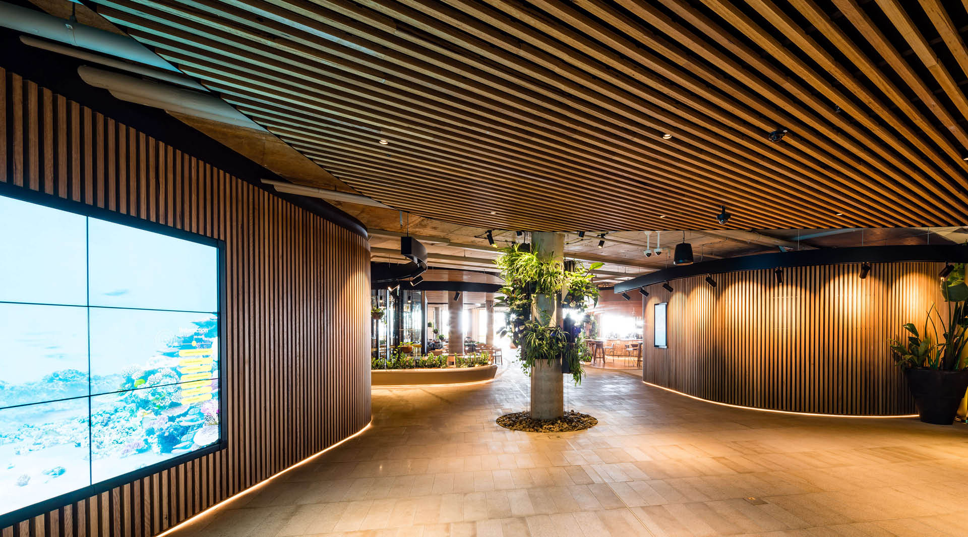 Harbord Diggers | Project | Sculptform
