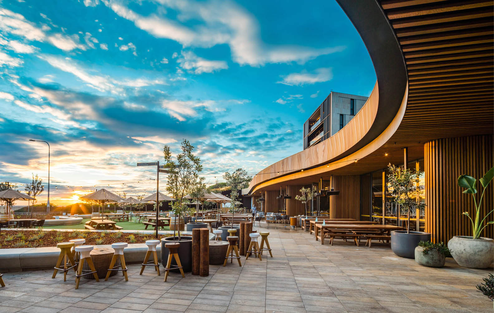 Harbord Diggers | Project | Sculptform