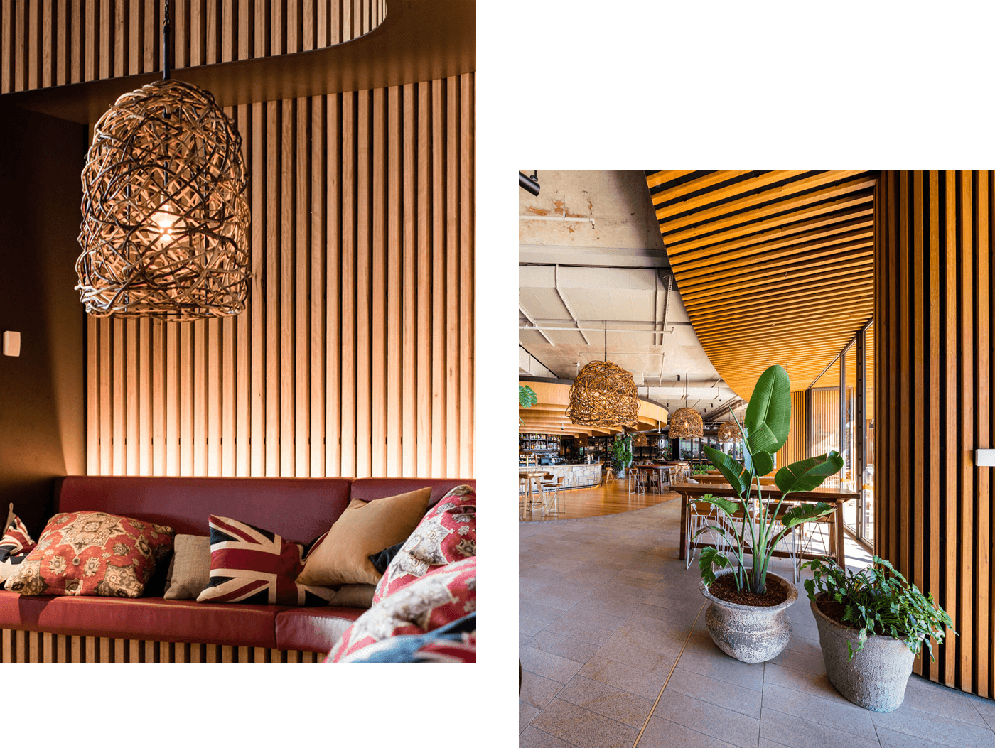 Harbord Diggers | Project | Sculptform