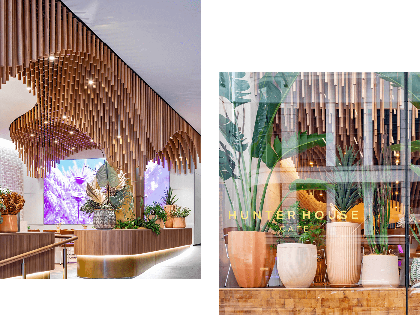Hunter House Cafe | Project | Sculptform