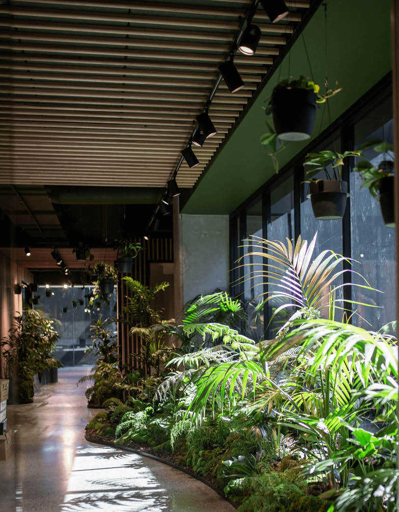 Meredith Connell - MC Centre | Project | Sculptform