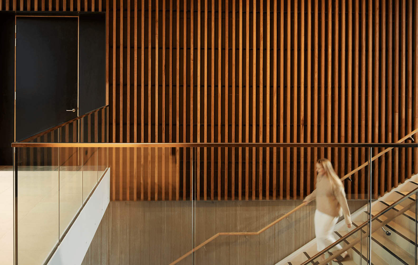 Mona Vale Surf Life Saving Club | Project | Sculptform