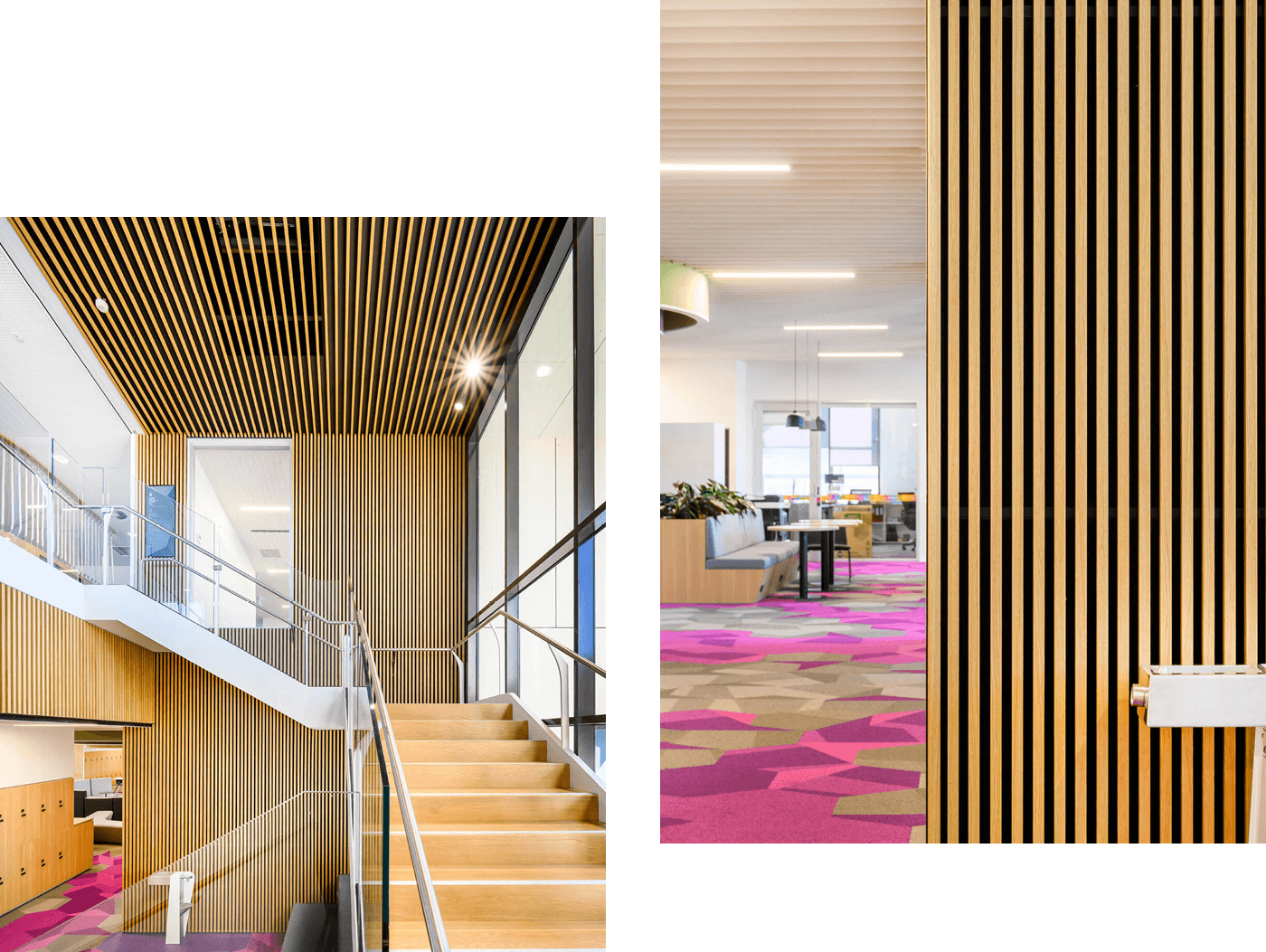 Methodist Ladies College | Project | Sculptform