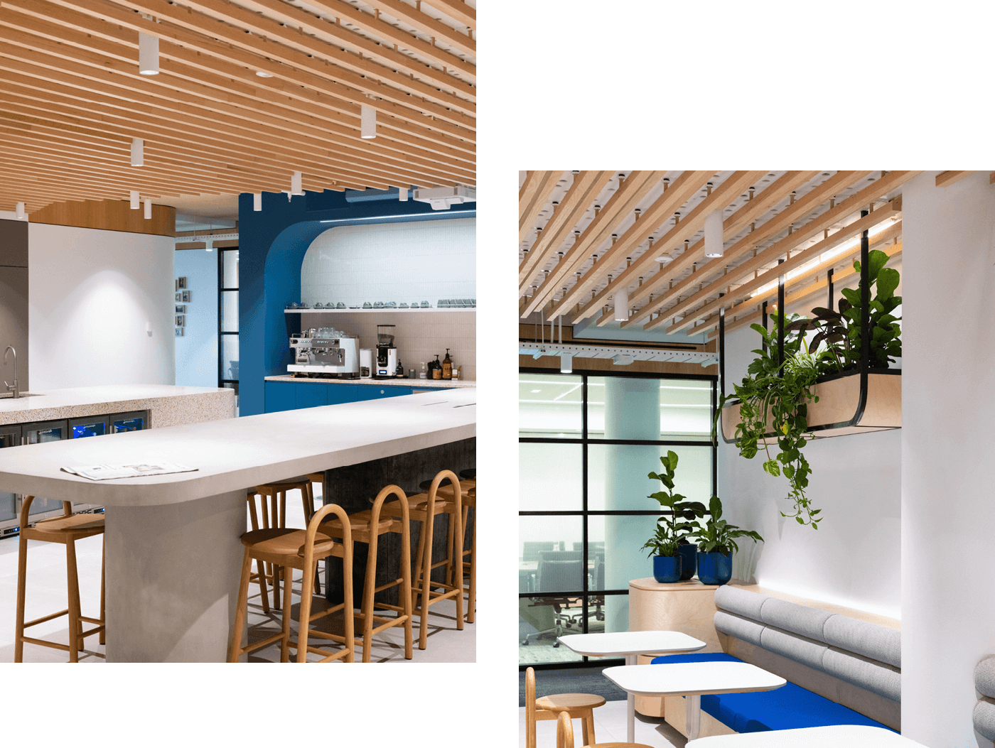 Shape Head Office | Project | Sculptform