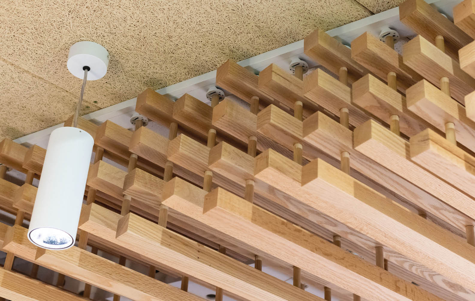 Shape Head Office | Project | Sculptform