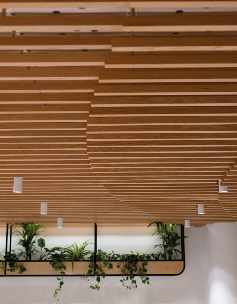 Shape Head Office | Project | Sculptform