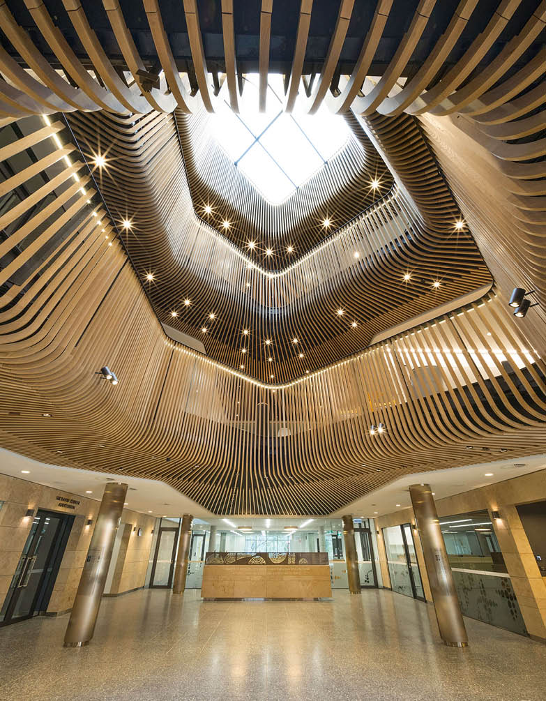 Curved Timber Walls and Ceilings | Sculptform