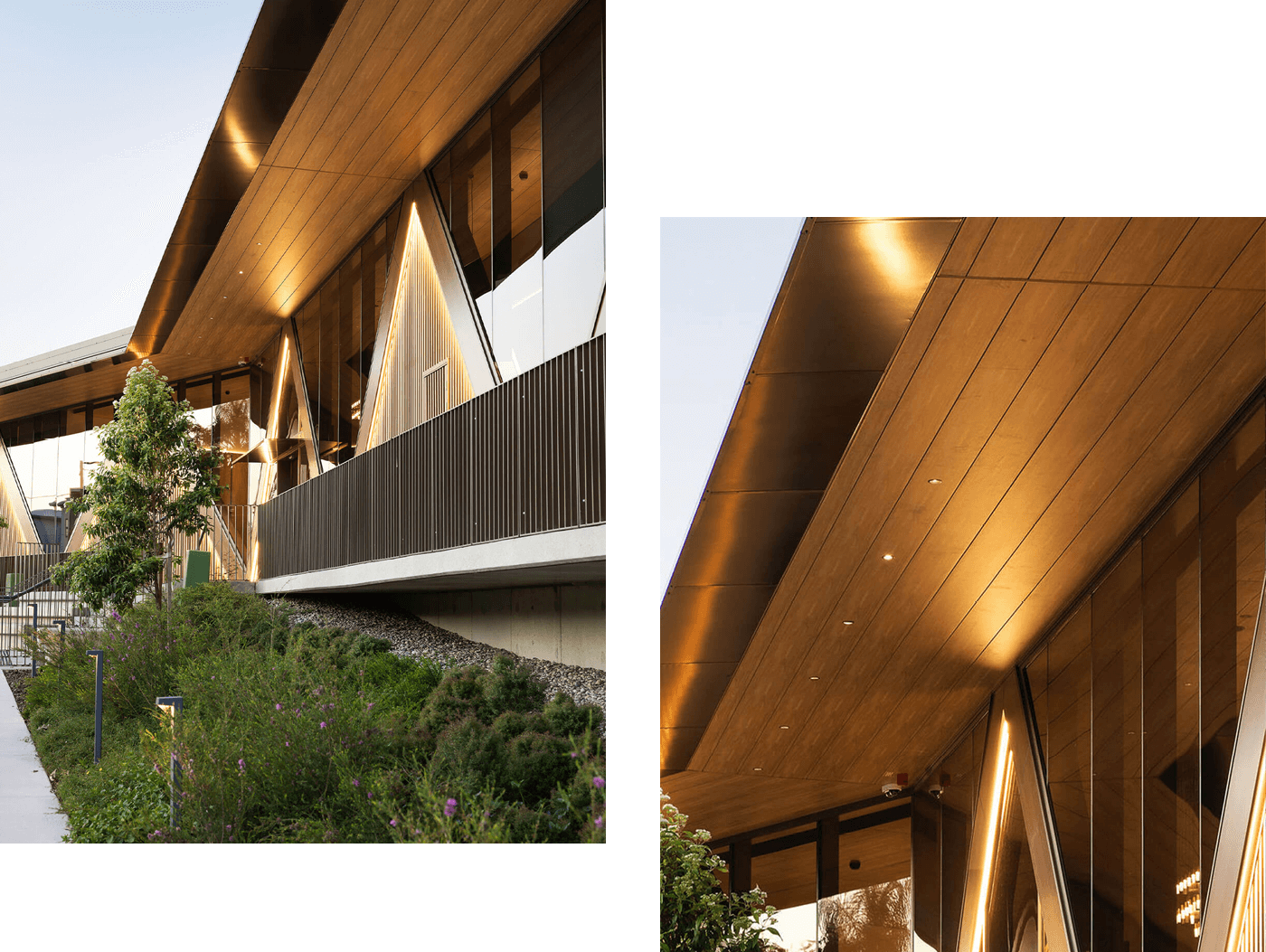 Tree Canopy-Inspired Facade at Everton Park Library | Project | Sculptform